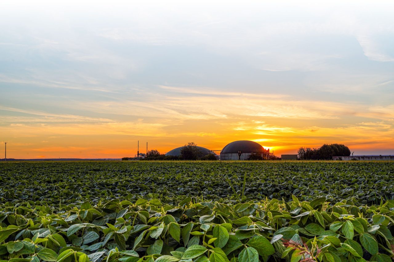Biofuels Water Treatment Technologies | Ovivo Industrial